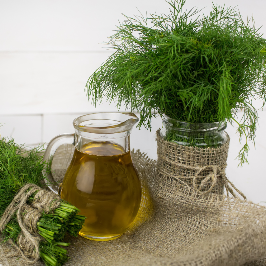 Anise (Dill) Oil - Kamal Arochem